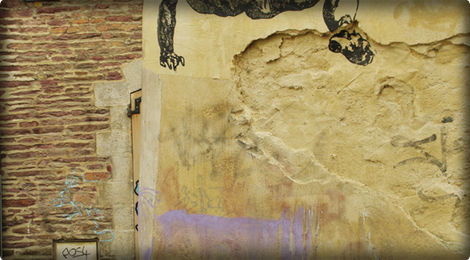 Zilda - Street-art and Graffiti | FatCap
