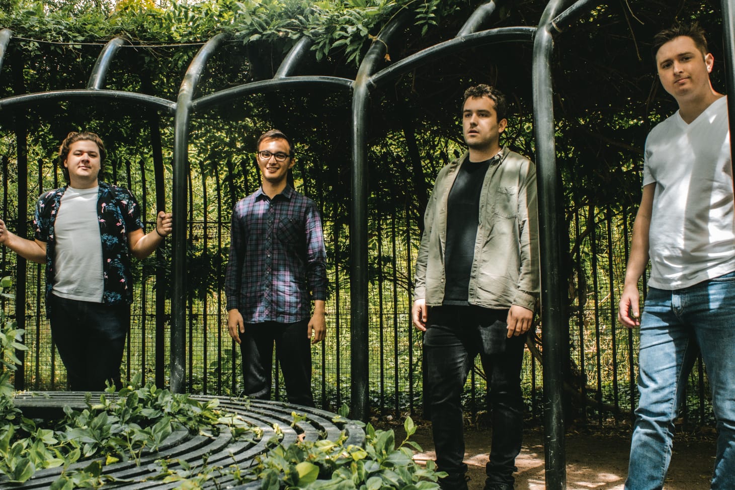 Artists | Exmouth Festival