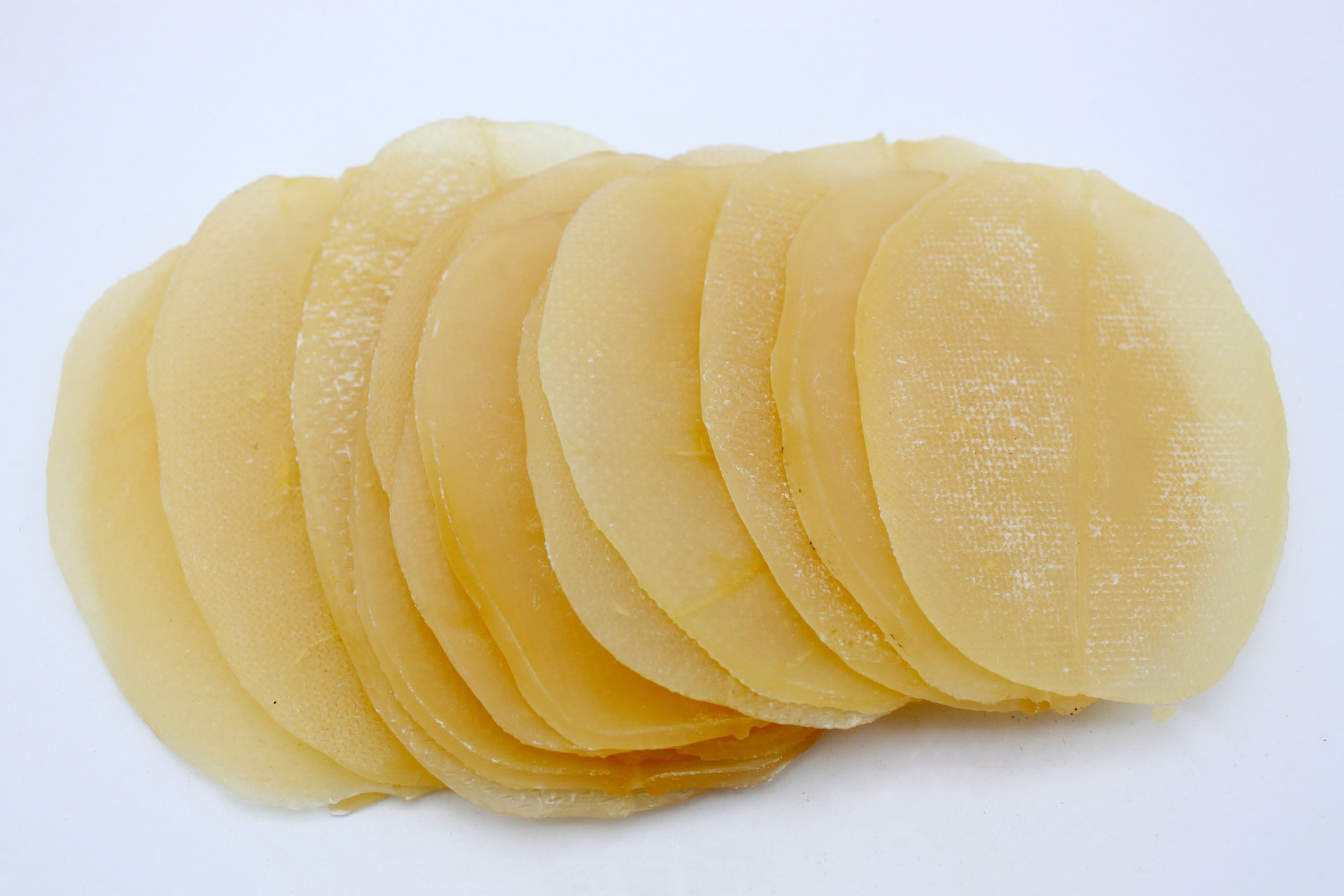 Dried Whelk Conch Slices (Circles) - Grand Gift