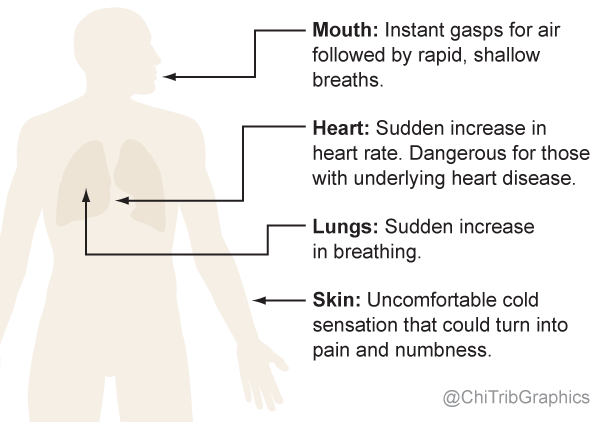 What happens to your body during the Chicago Polar Plunge – Chicago Tribune