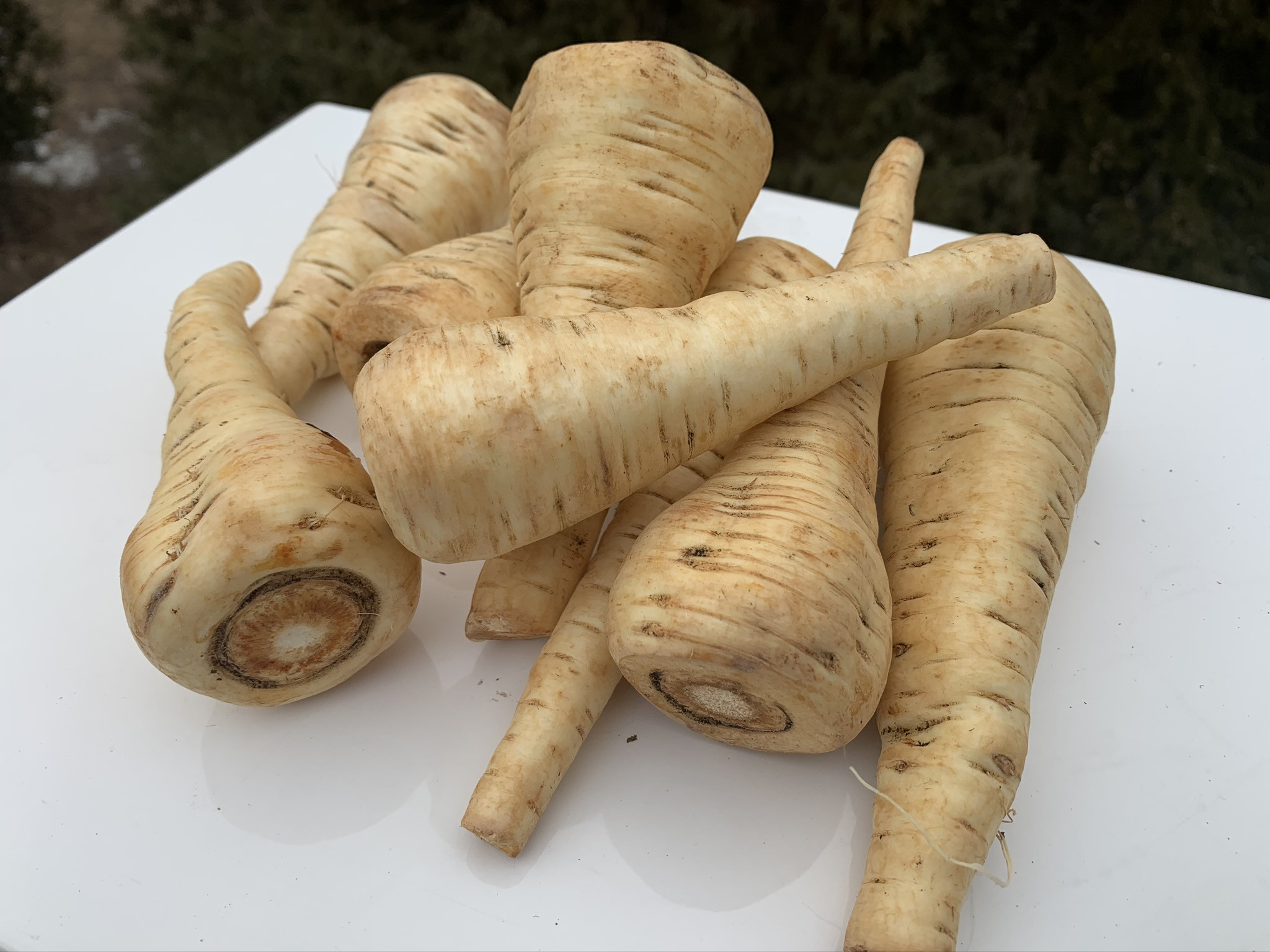 Parsnips - Avrom Farm