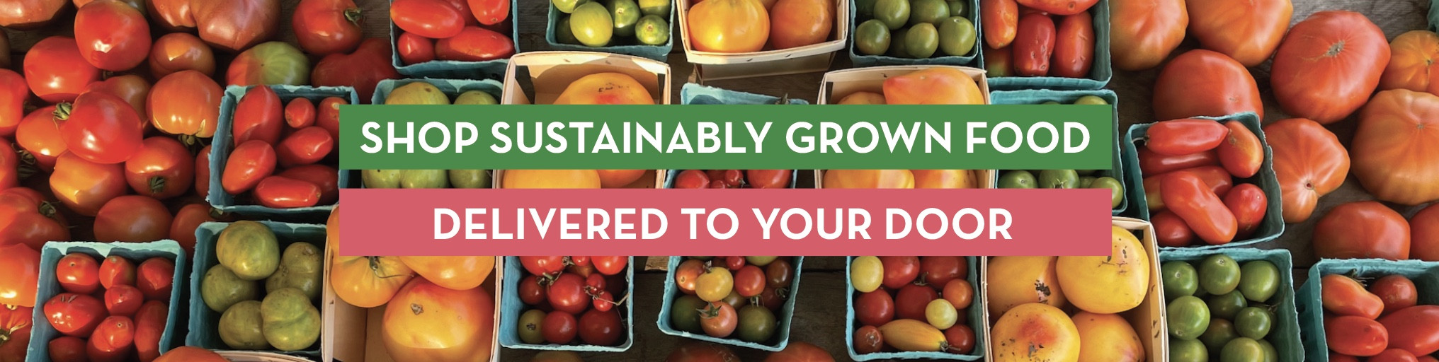 Avrom Farm: Regenerative Agriculture & Farm Delivery - Avrom Farm