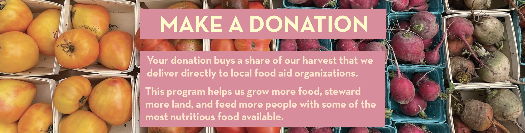 Avrom Farm: Regenerative Agriculture & Farm Delivery - Avrom Farm