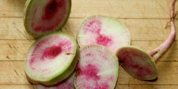 Shop Now - Avrom Farm