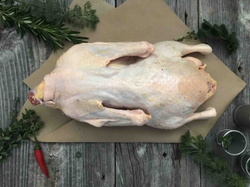 Pastured Meat Home Delivery: Duck - Beiler Family Farm