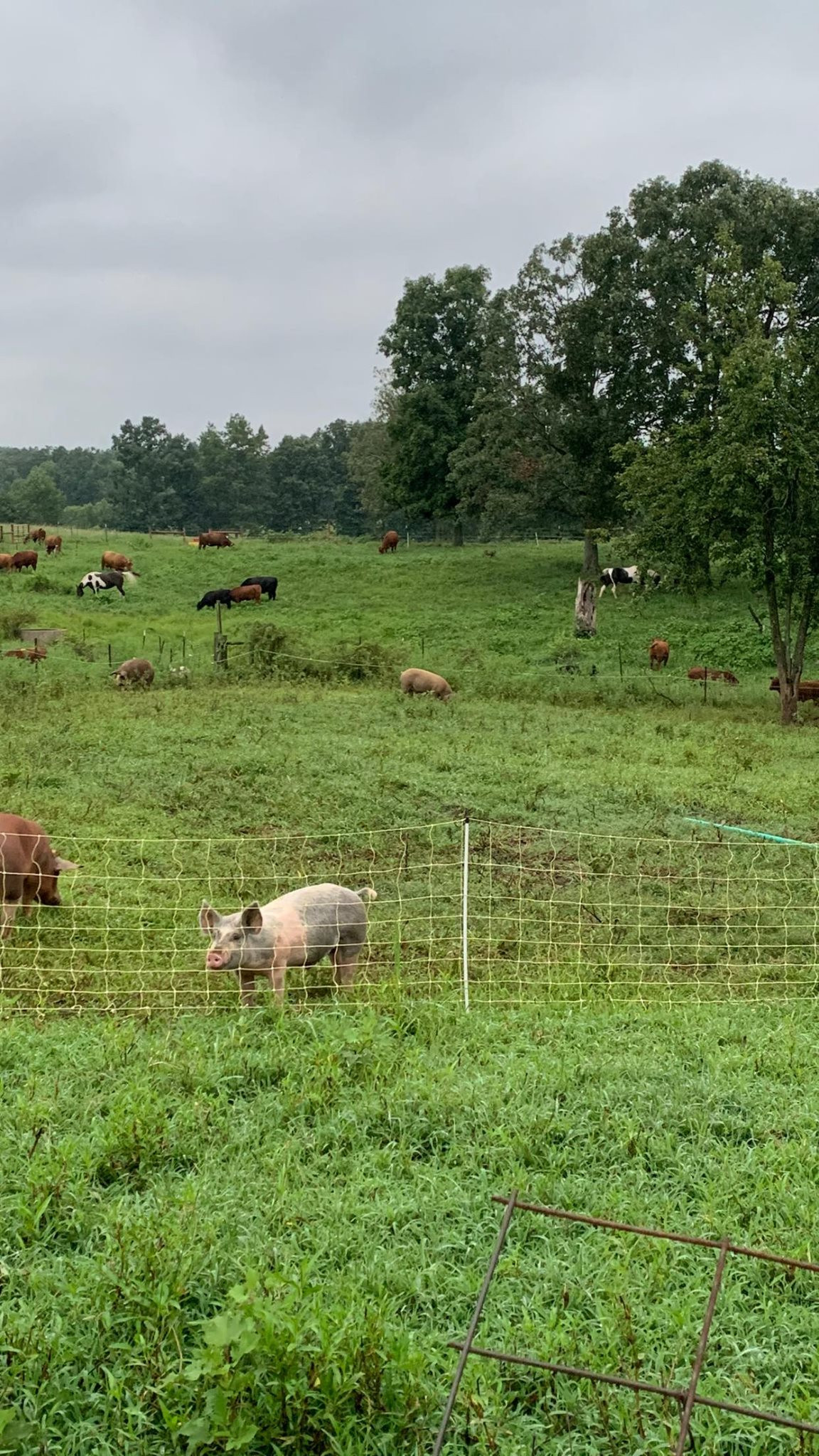 Homepage - Bentley Farms LLC