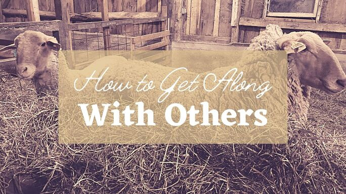 How To Get Along With Others - Bethlehem Farm