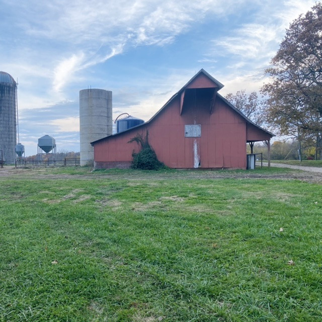 Blue Silo Beef, Pork & Chicken - Blue Silo Beef