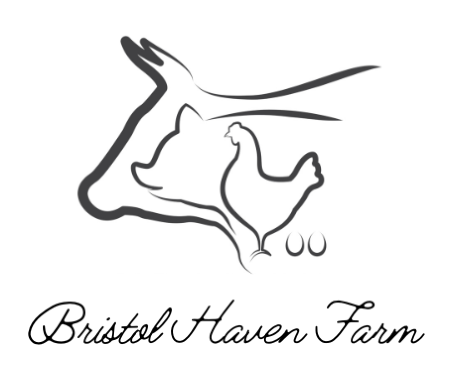 Homepage - Bristol Haven Farm