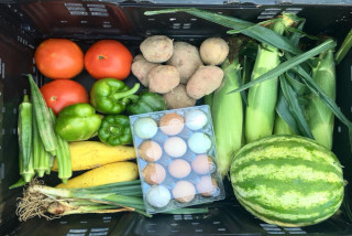 Homepage - Cedar Valley Farms