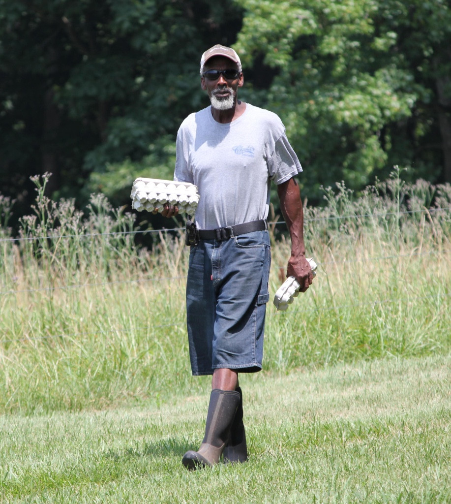 Our Story - Little Way Farm