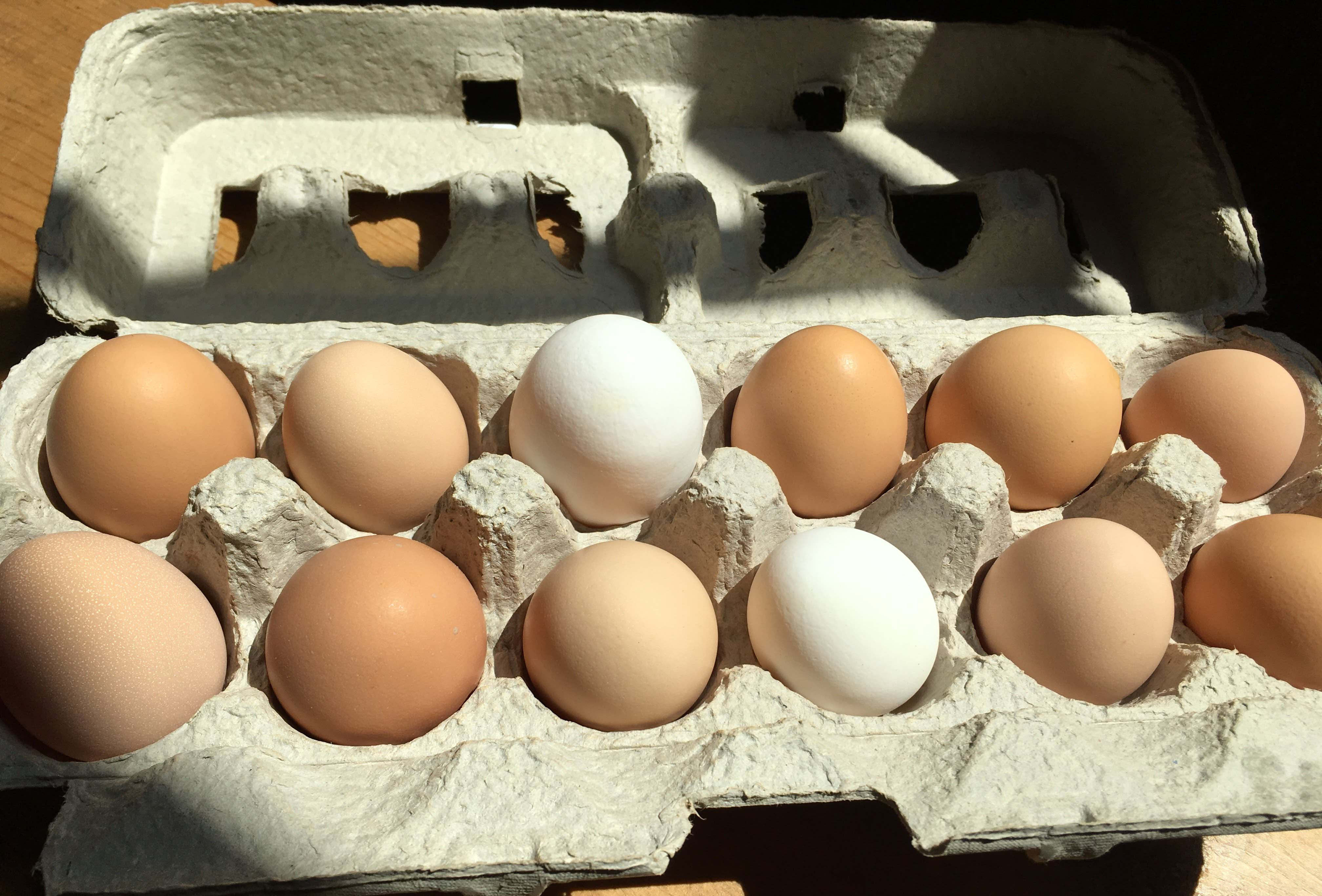 Store - Little Way Farm