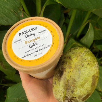 Dairy - Little Way Farm