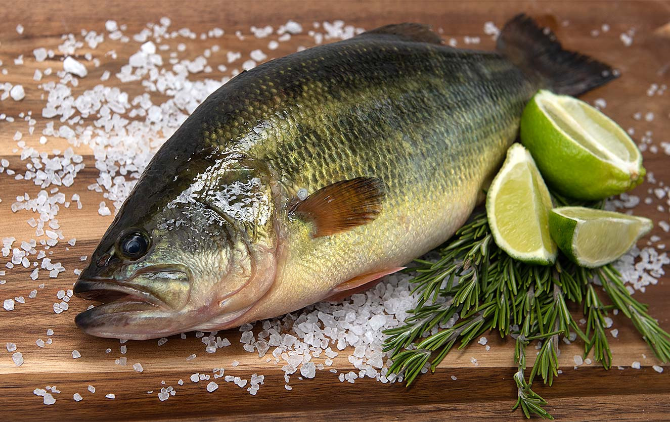 Dutchboy Farms - Dutchboy Farms