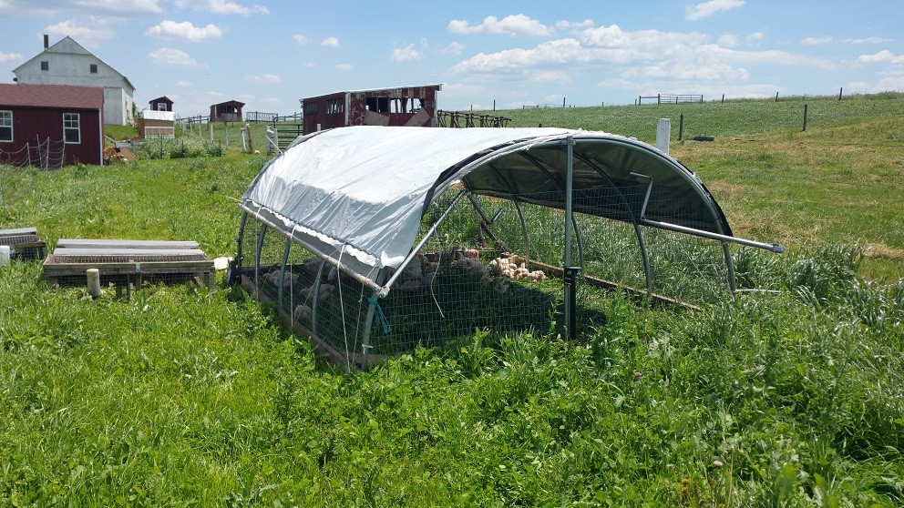 Grass Fed Beef and Organic Dairy | About - Dutch Meadows Farm