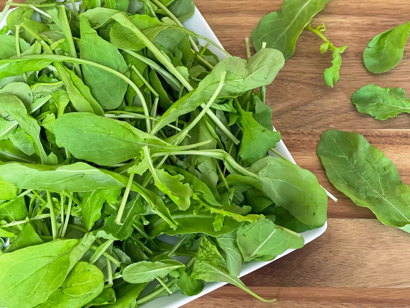 Fresh Greens (Arugula) - Dutch Meadows Farm