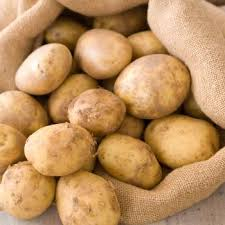 The Produce Patch: Potatoes - Dutch Meadows Farm