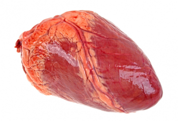 Beef - Farmers Market Direct