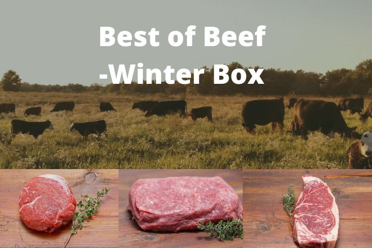 Best of Beef - Winter Box - Fed From The Farm