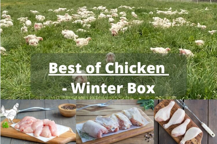 Best of Chicken - Winter Box - Fed From The Farm