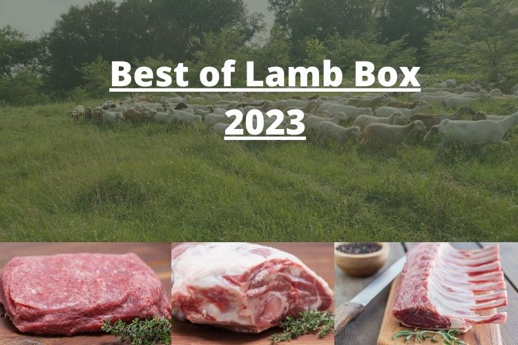 Lamb - Fed From The Farm