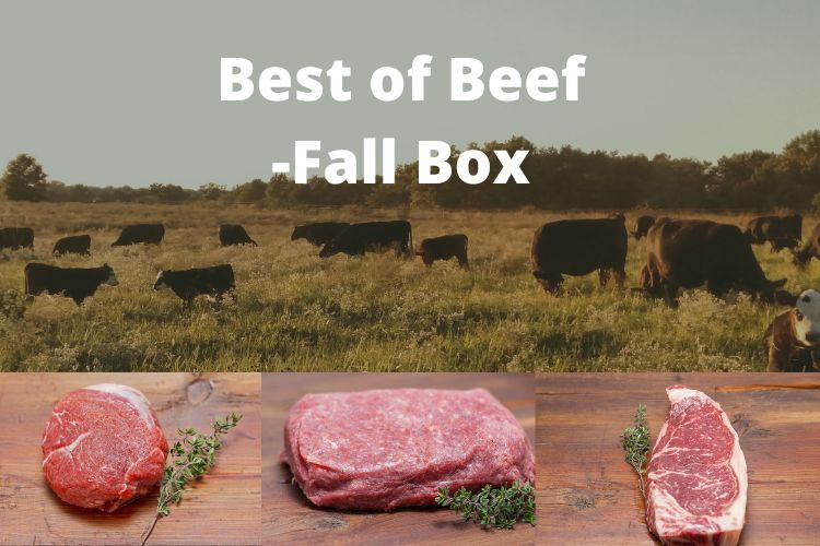 Beef - Fed From The Farm