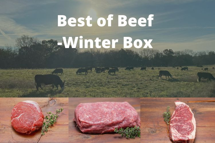 Beef - Fed From The Farm