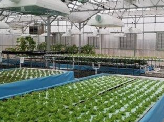 About Us - FLP ACRES LLC