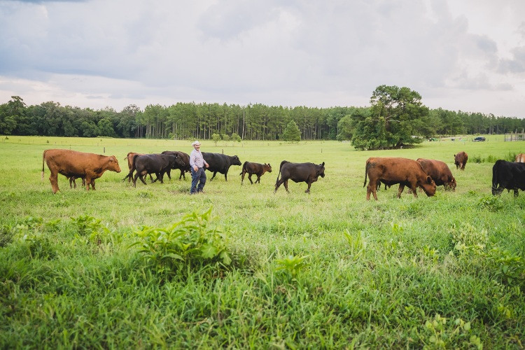 Fruitful Earth Farms - Homepage - Fruitful Earth Farms