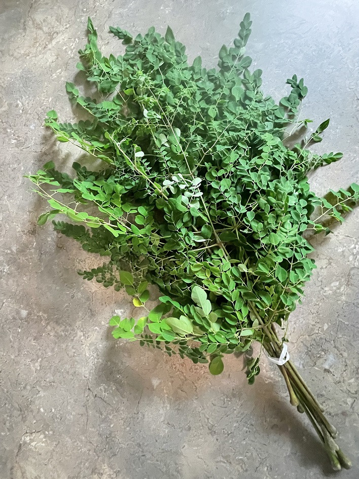 Florida's Source For 100% Grass-fed Beef, Raw Milk, & Beyond Organic ...