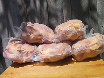 Poultry and Rabbit - Cypress Consultants (Full Circle Farm)