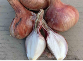 Shop Now - Good Groceries