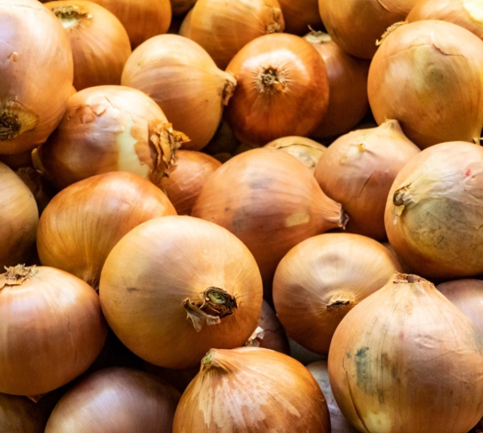 Fresh Local Produce - Grand View Farm