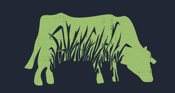 Beef Bulk Ground Tubes - Grassway Organics LLC.