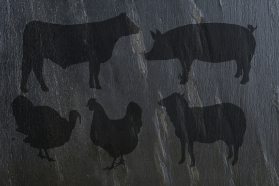 Local, Regenerative, Grass-Fed, Pasture Raised Meats - Green Fire Farm