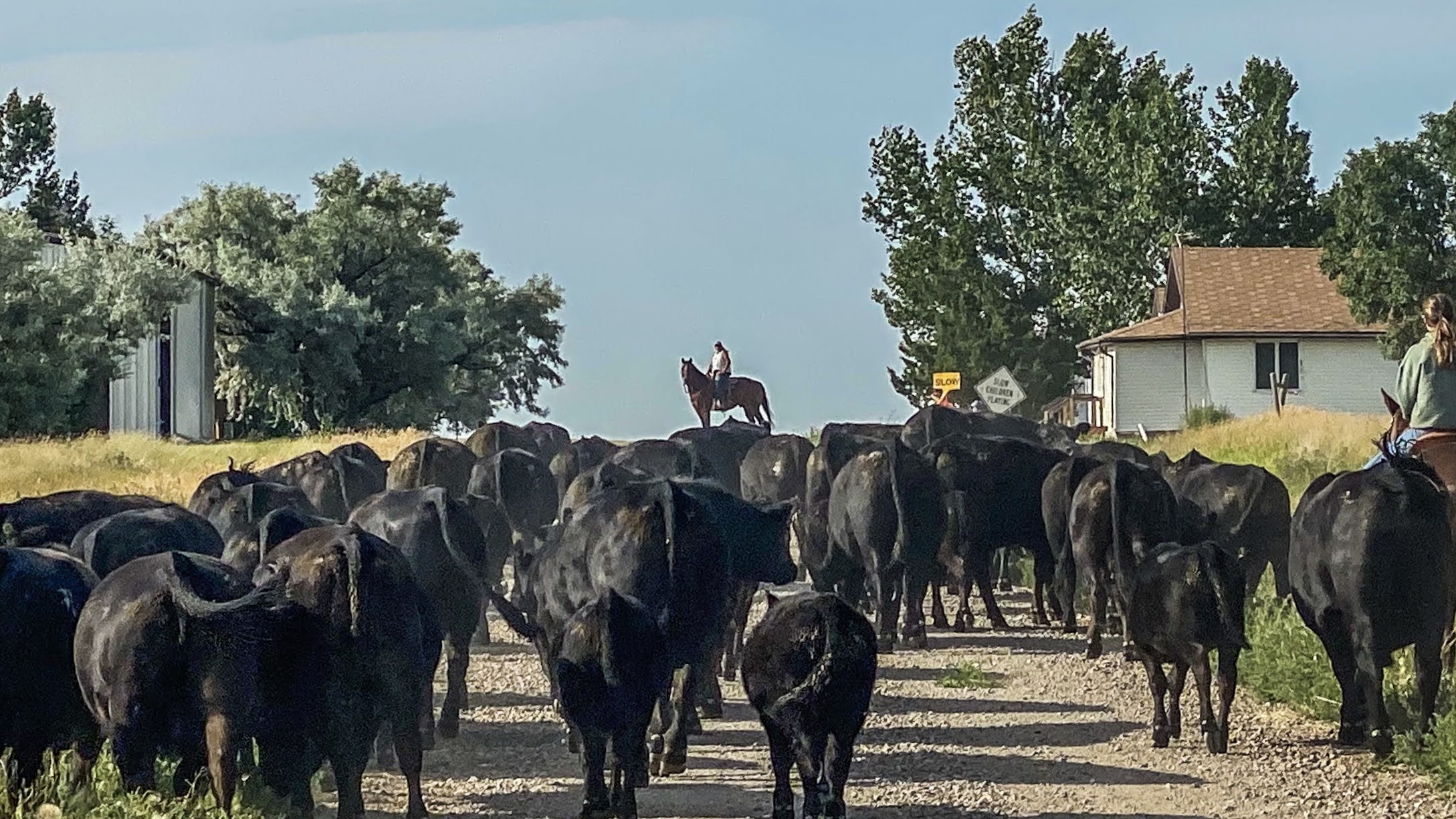 Happy Steer Ranch - Happy Steer Ranch LLC