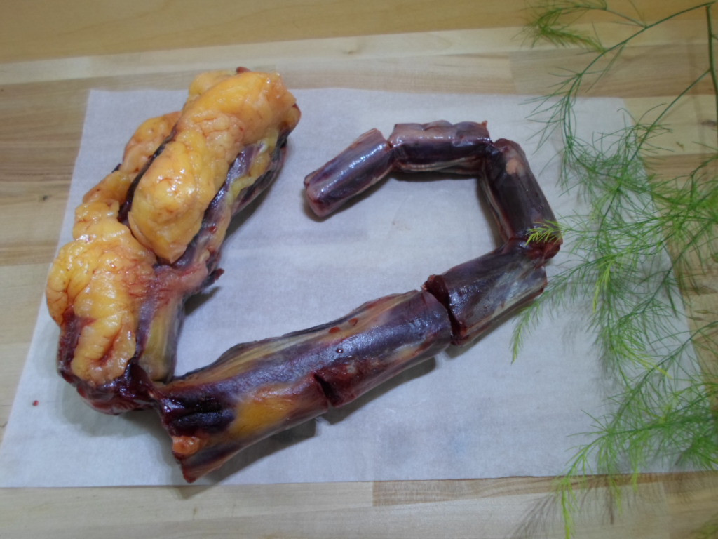 Beef, Ox Tail - HARMONY ACRES