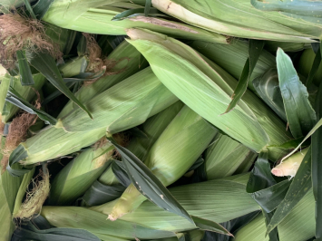 Shop Now - Highland Spring Farm, LLC