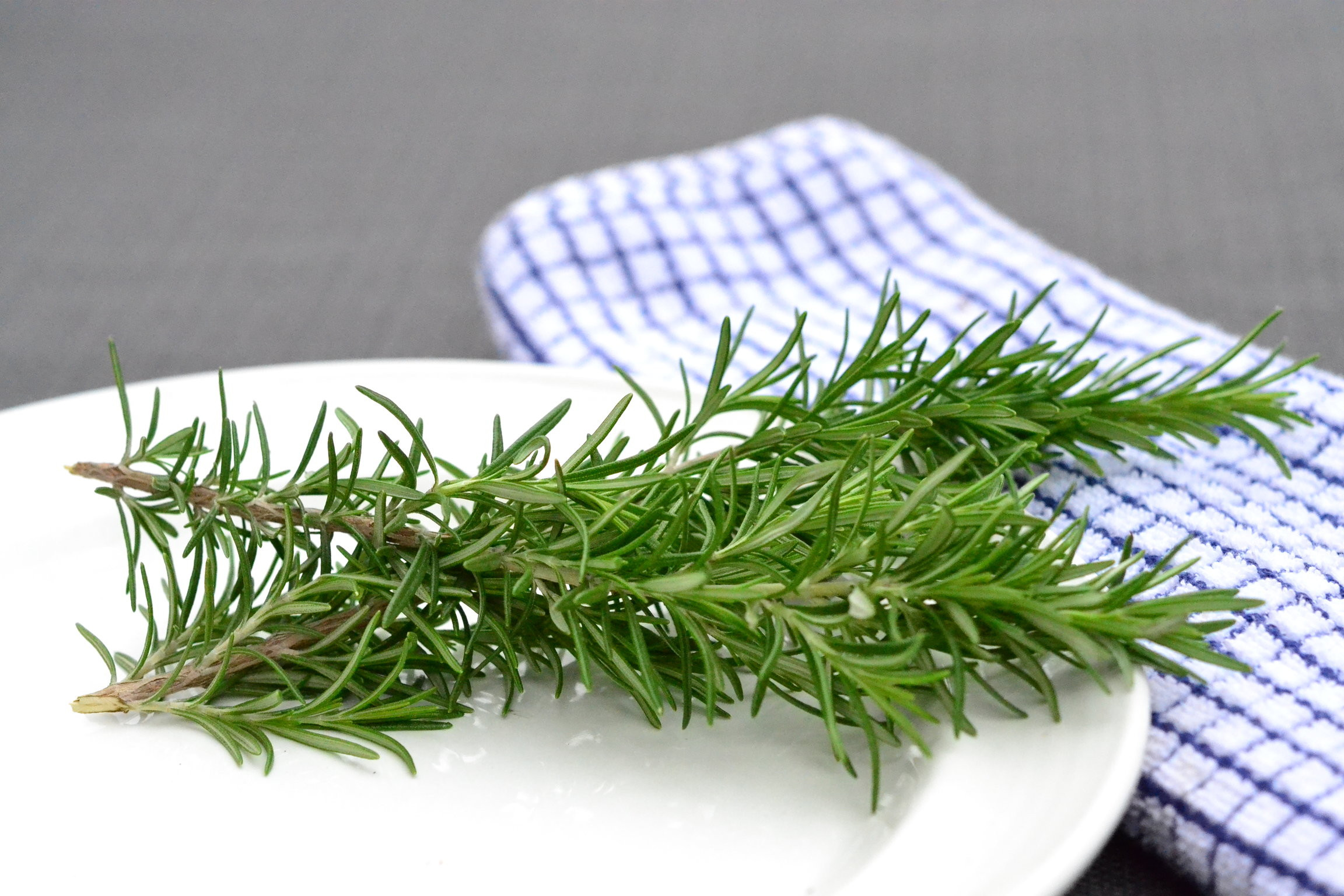 Rosemary - Hodges Family Farm