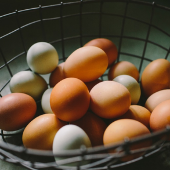 Store-Menu - Hodges Family Farm
