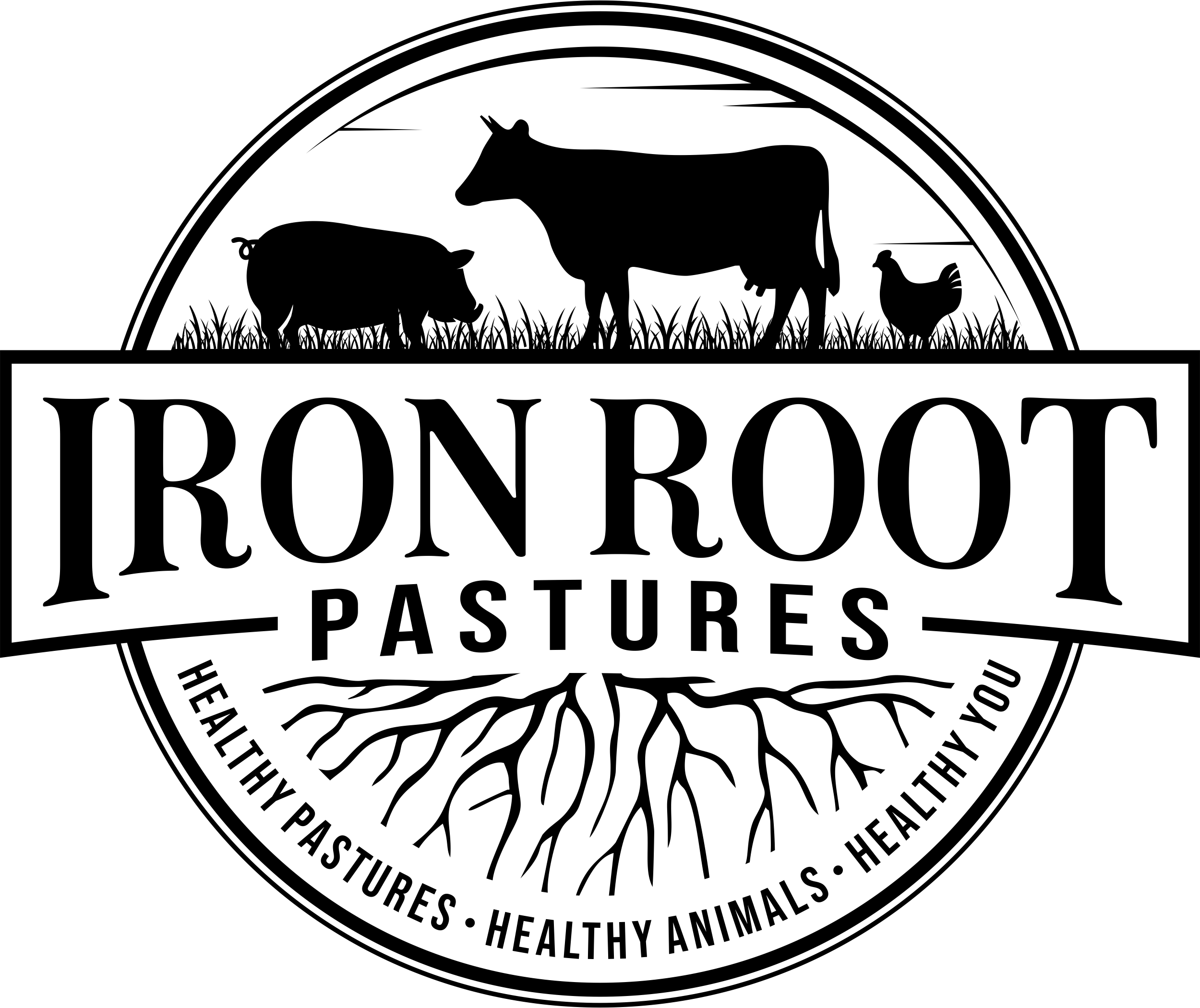 Rootmytv