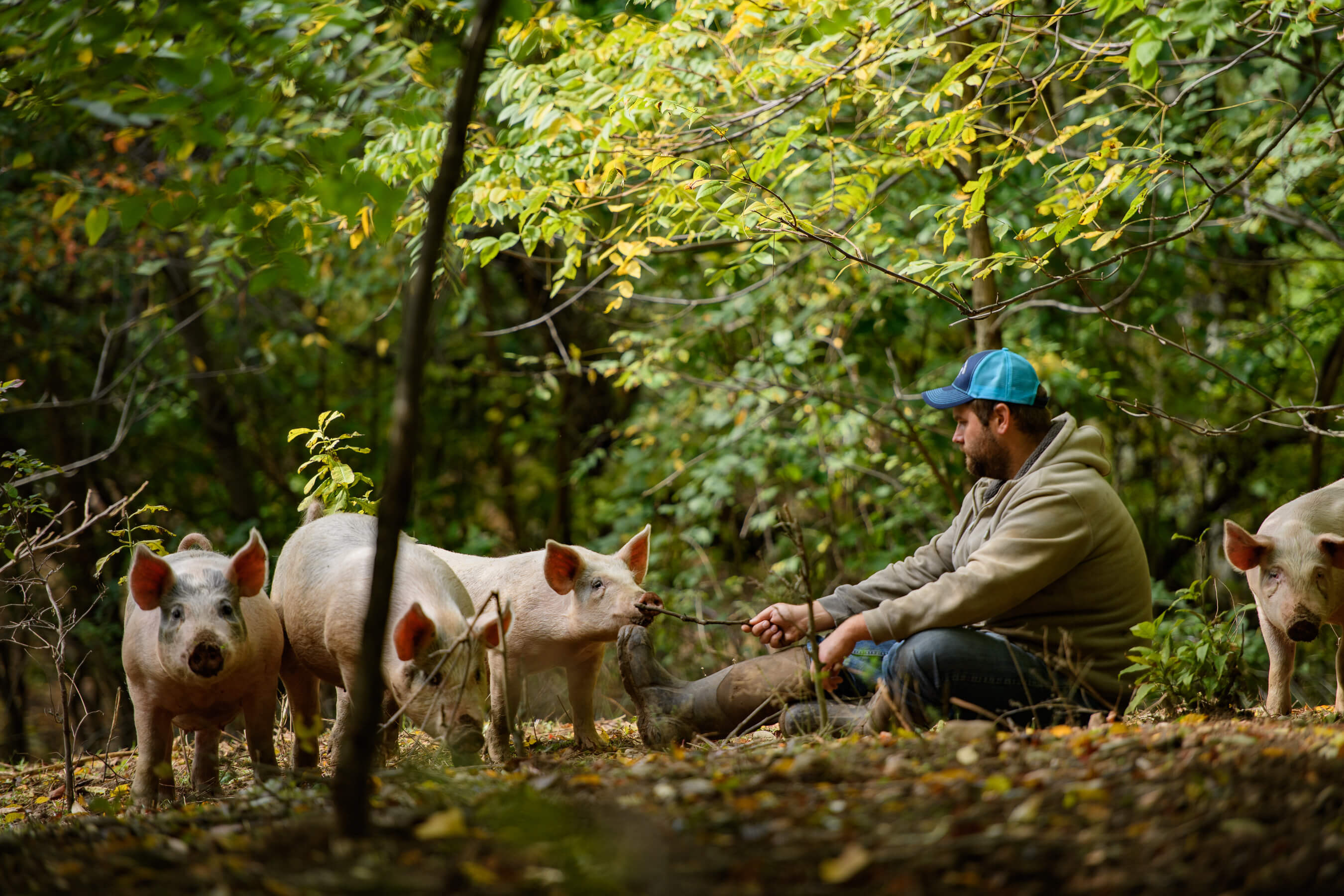 Jake's Country Meats - Jake's Country Meats