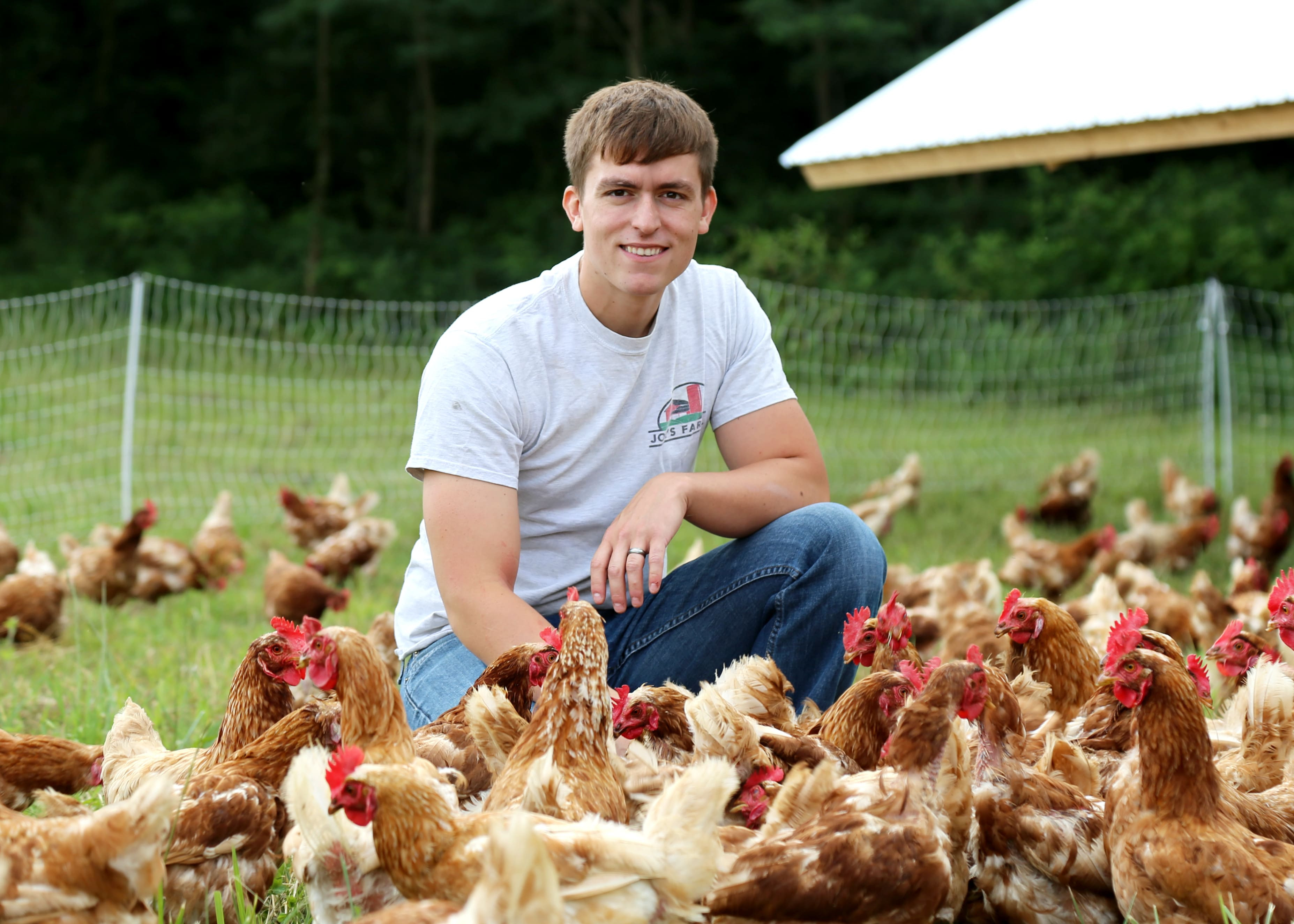 Joe's Farm Website - Joe’s Farm