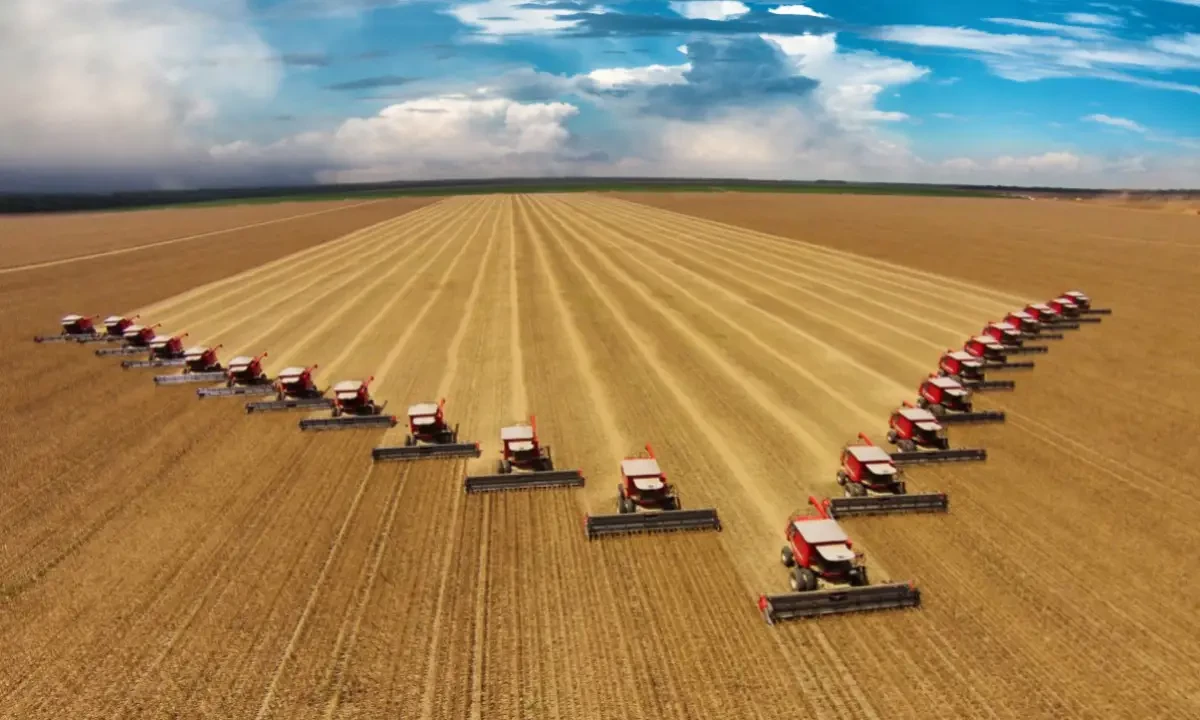 The Industrial Farming Revolution - Wanda Farms LLC