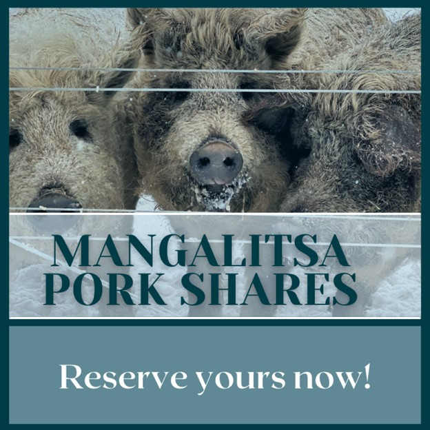 Bulk Buying Options - The Roaming Bison Ranch