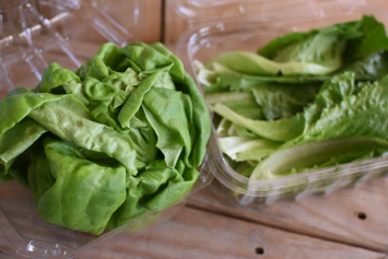 Greens and Tallow/soaps - McIntyre Pastures