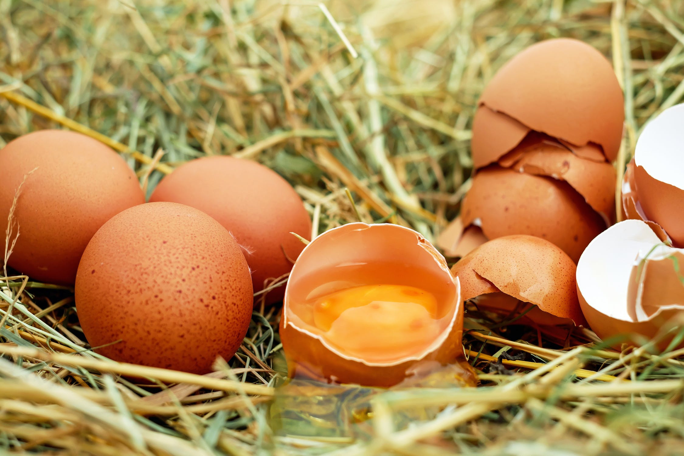 Why Egg Inventory Can Be A Challenge Miller s Bio Farm