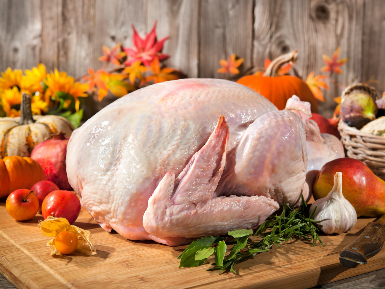 Pastured Turkey - Miller's Bio Farm