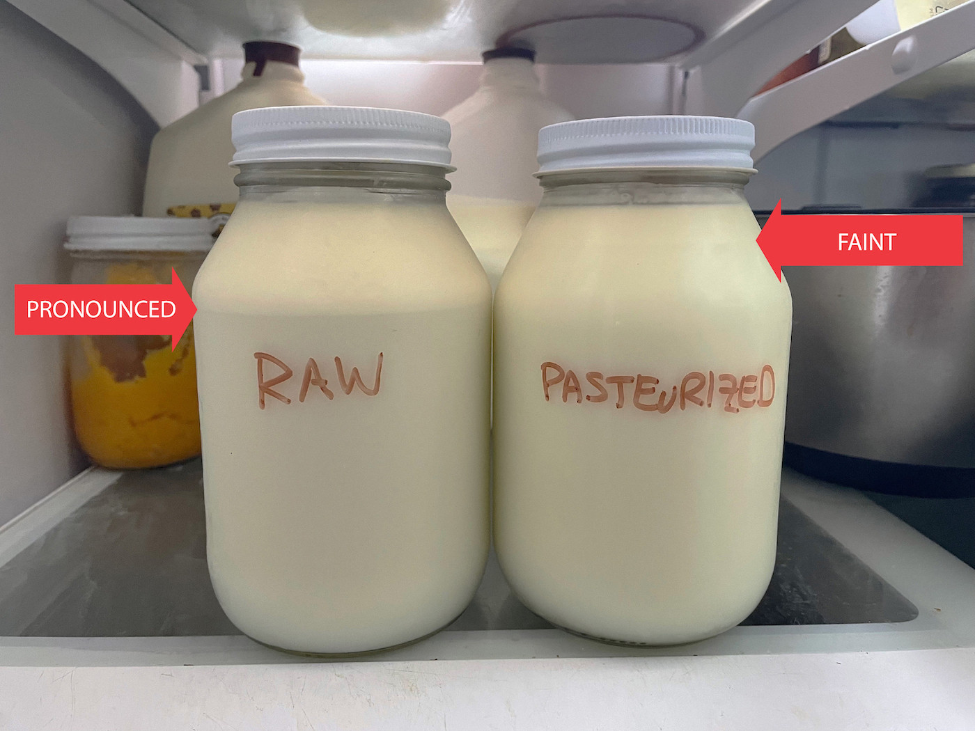 Photo Timeline Of Raw Milk Vs Pasteurized Milk Sitting At 59 OFF