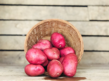 Produce (Fresh and Fermented) - Miller's Bio Farm